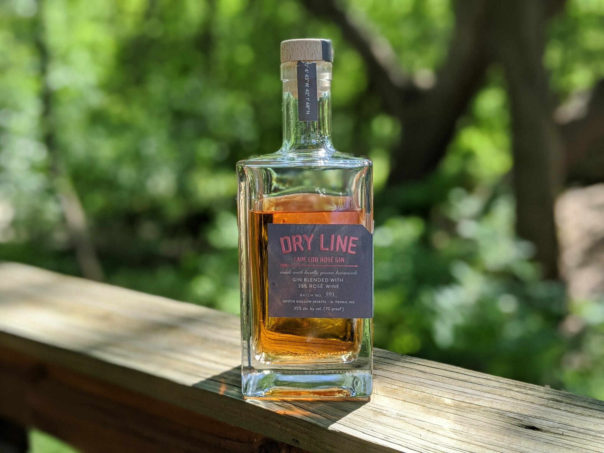 Gin Review: Dry Line Cape Cod Rosé Gin – Thirty-One Whiskey